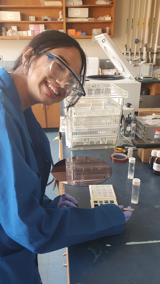 The Rational Design of Block Copolymers for Next Generation Photolithography (Faculty Sponsor ...